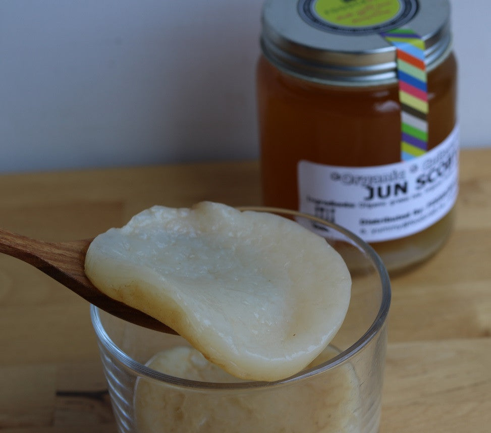 Jun Tea - How to Brew Jun at Home — FoodCraft Online Store