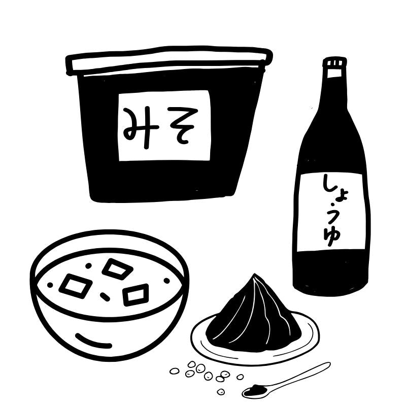 Miso & Japanese Ferments – FoodCraft Online Store