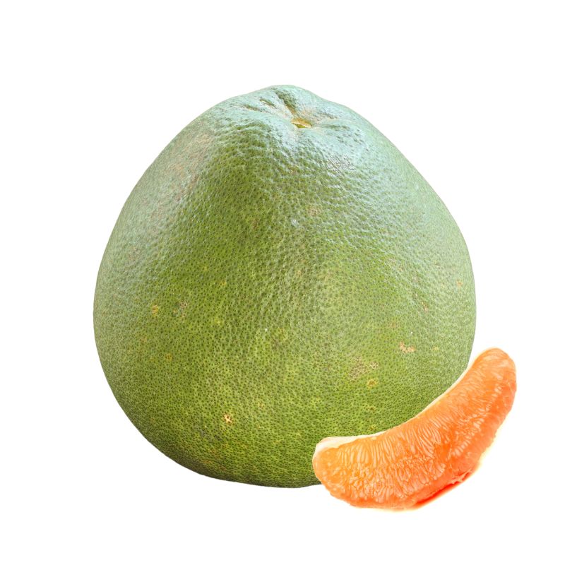 Pink Pomelo - 1pc — FoodCraft Online Store