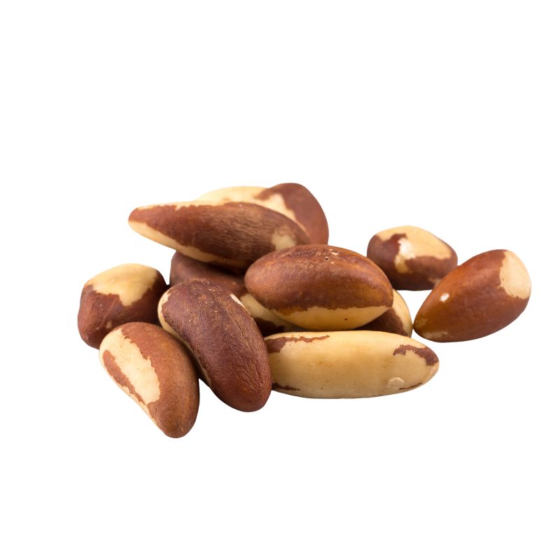 Raw Sprouted Organic Brazil Nuts - 454g – FoodCraft Online Store