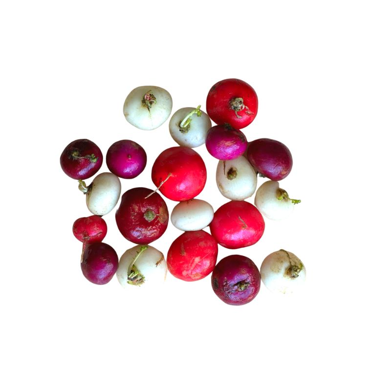 Mixed Color Mini Radish - 200g (Approx. 10pc) — FoodCraft Online Store
